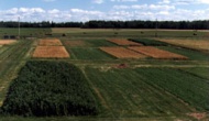 Breton Soil Plots | An Alberta Registered Historic Resource | Tourism ...